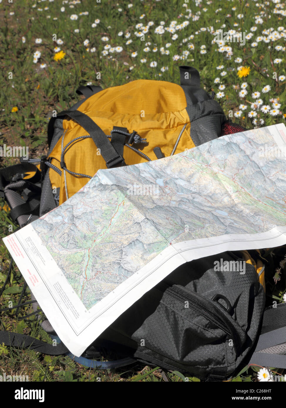 hiking map and backpack lying on a flower meadow, concept for: concept ...