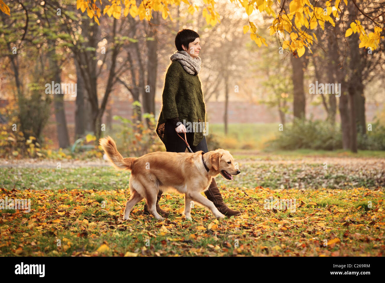 A girl and her dog (Labrador retriever) walking in a park Stock Photo ...