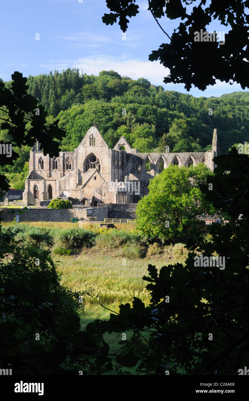 The ruins of Tintern Abbey, in Tintern, Monmouthshire, Wales Stock ...
