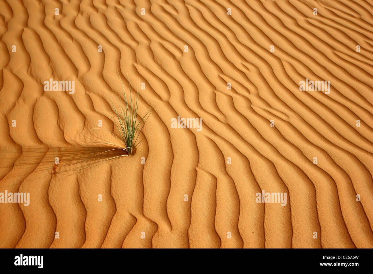 Rub'al-Khali desert, also called Empty Quarter, biggest sand desert ...