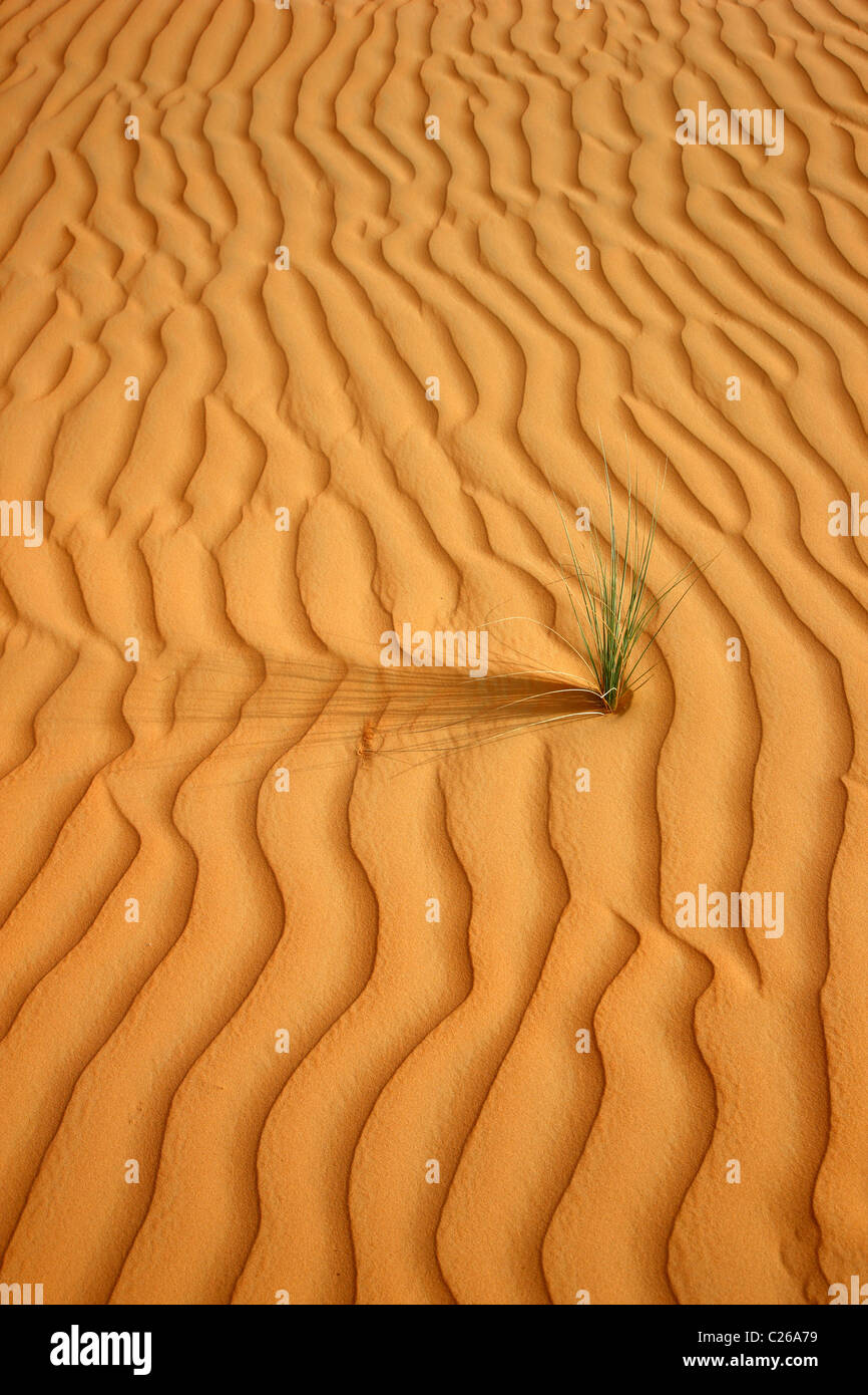 Rub'al-Khali desert, also called Empty Quarter, biggest sand desert ...