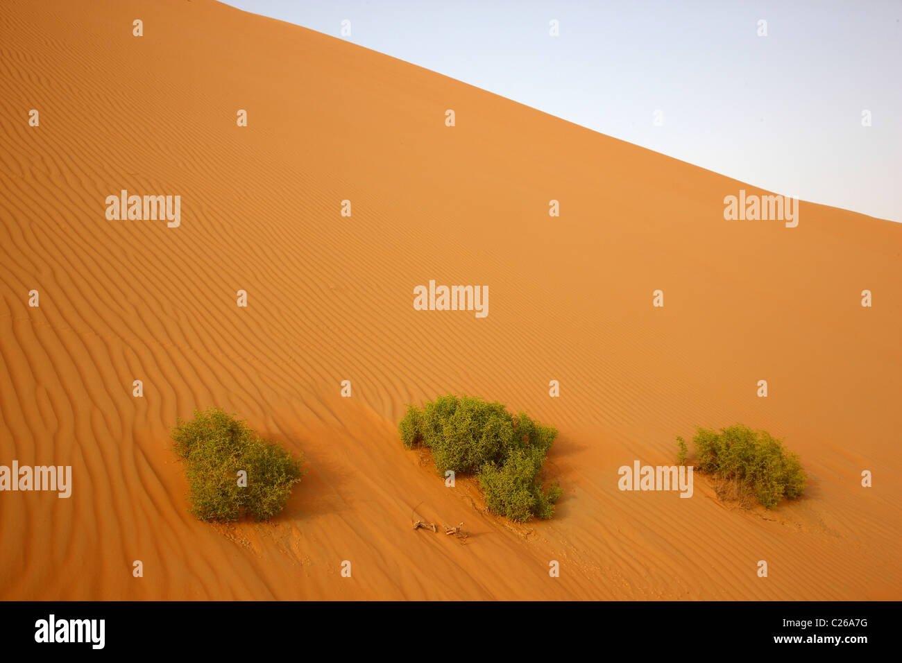 Rub'al-Khali desert, also called Empty Quarter, biggest sand desert ...