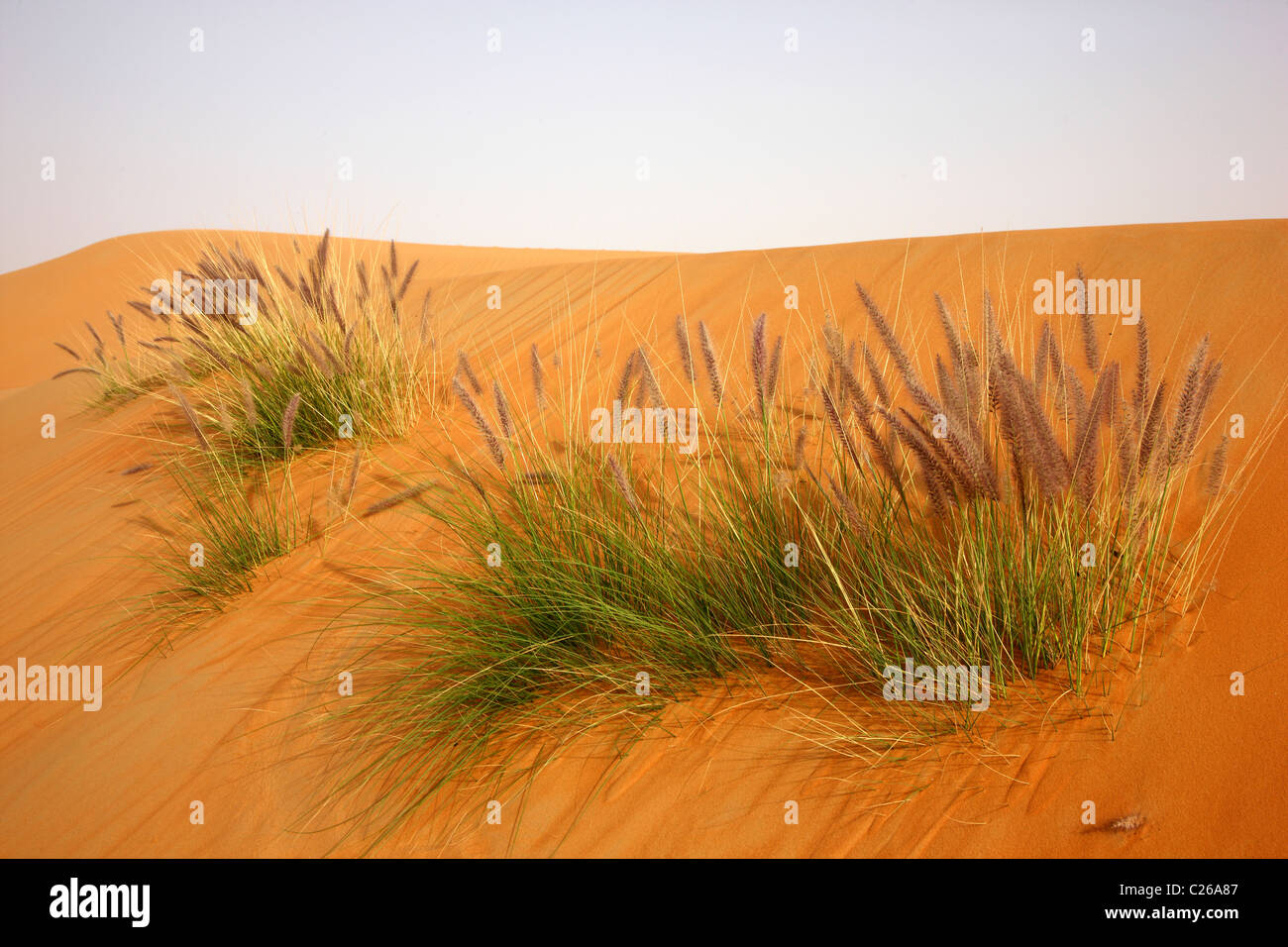 Rub'al-Khali desert, also called Empty Quarter, biggest sand desert ...