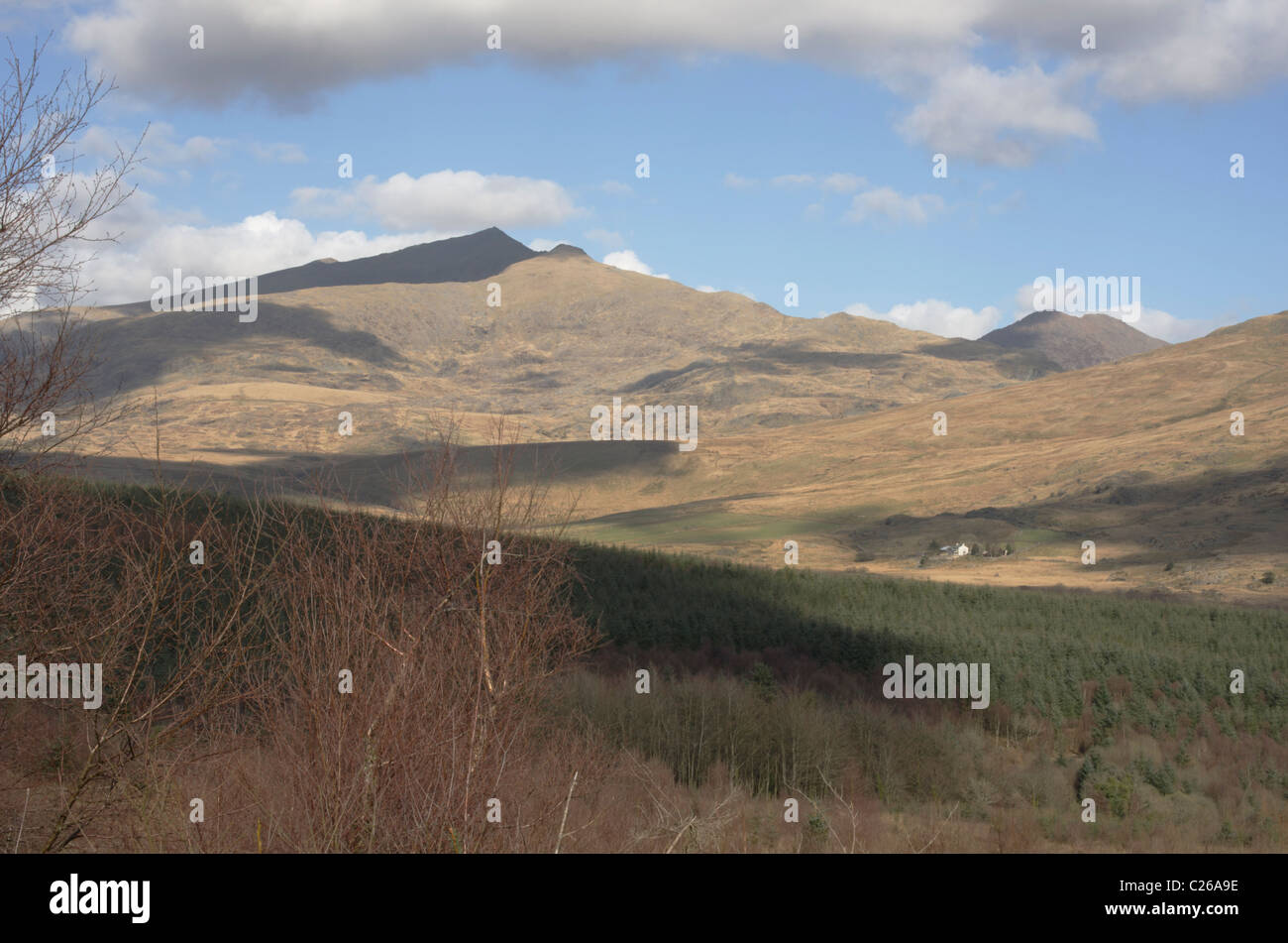 Snowdon the highest mountain in Wales from Beddgelert Forest Stock ...