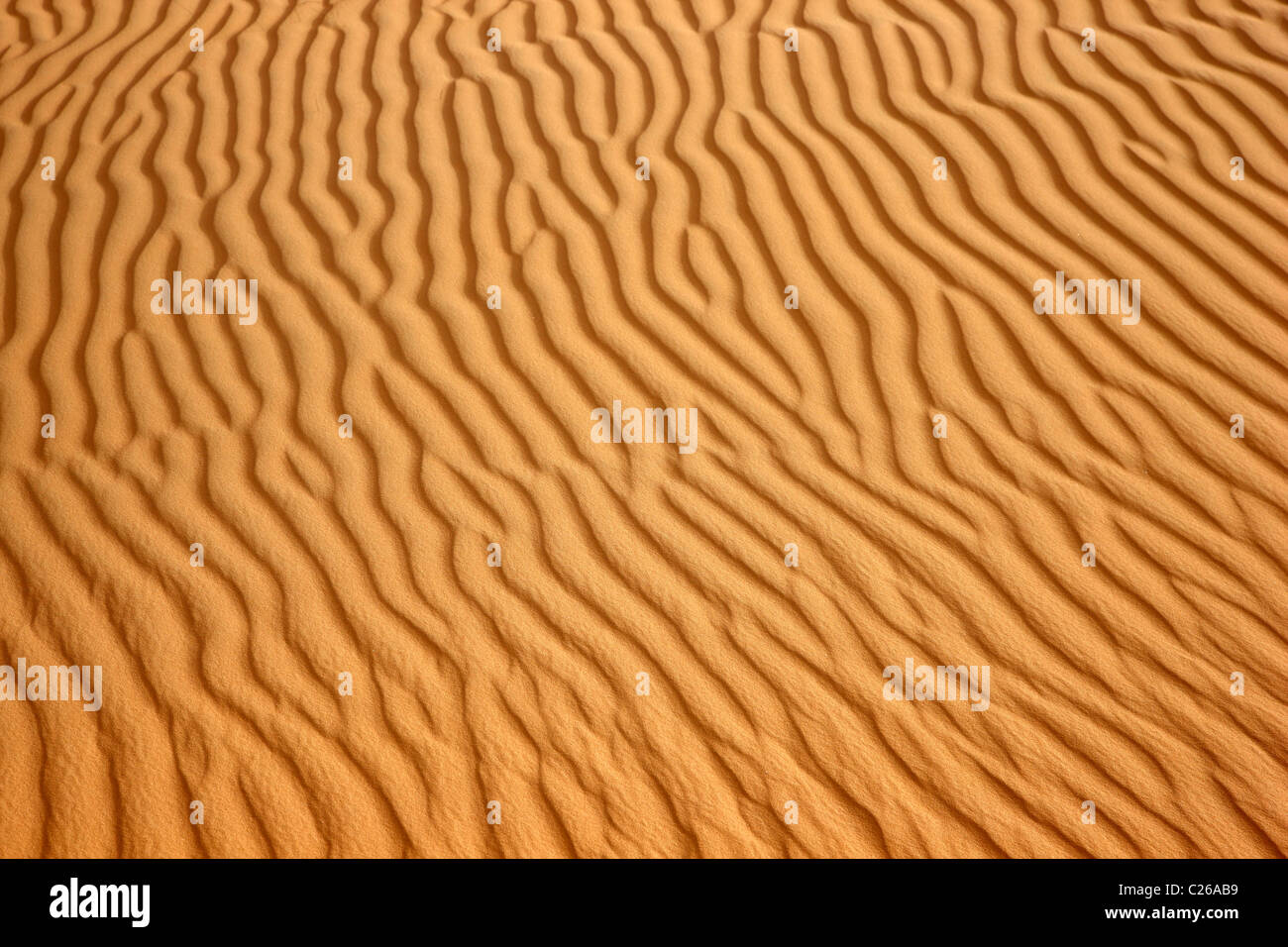 Rub'al-Khali desert, also called Empty Quarter, biggest sand desert ...