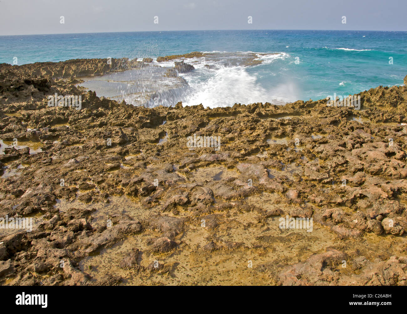 Rugged Rocky Coastline of Aruba with the Deep Blue / Green Crystal ...