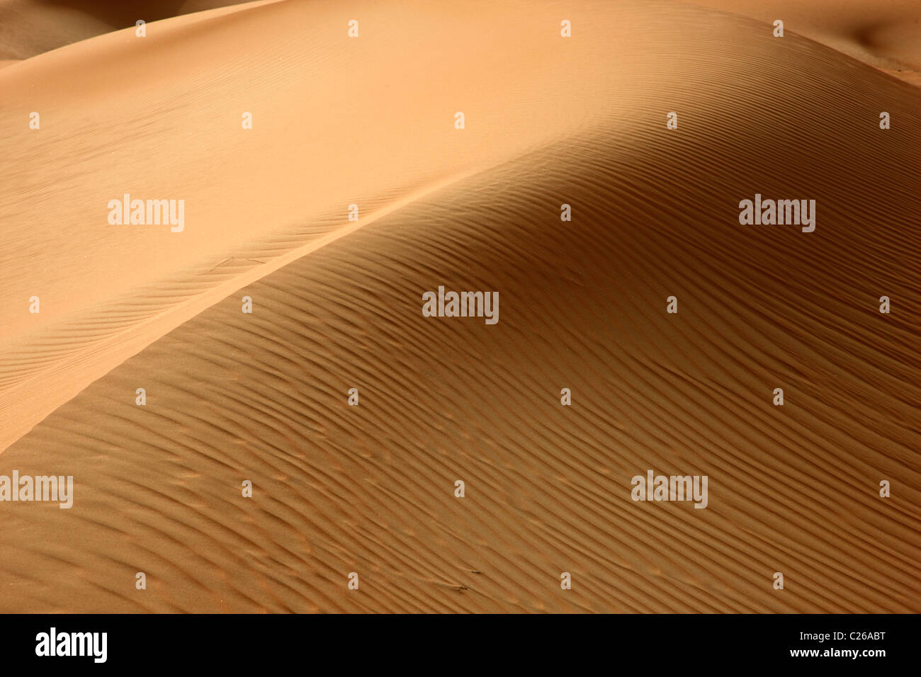 Vae rot hi-res stock photography and images - Alamy