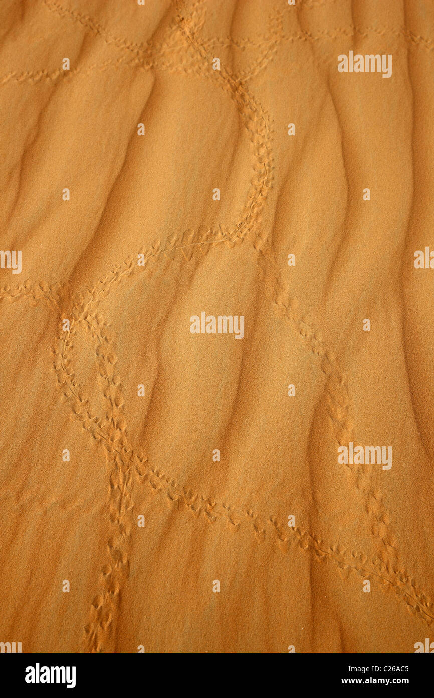 Rubal khali desert hi-res stock photography and images - Alamy