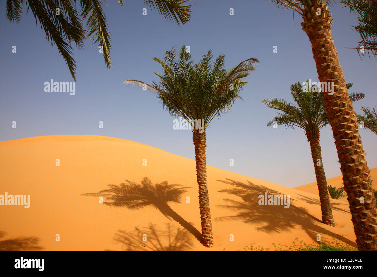Rub'al-Khali desert, also called Empty Quarter, biggest sand desert ...