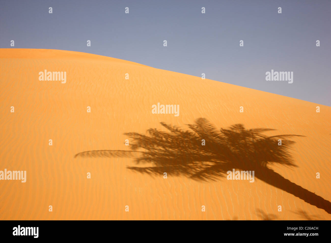 Rub'al-Khali desert, also called Empty Quarter, biggest sand desert ...