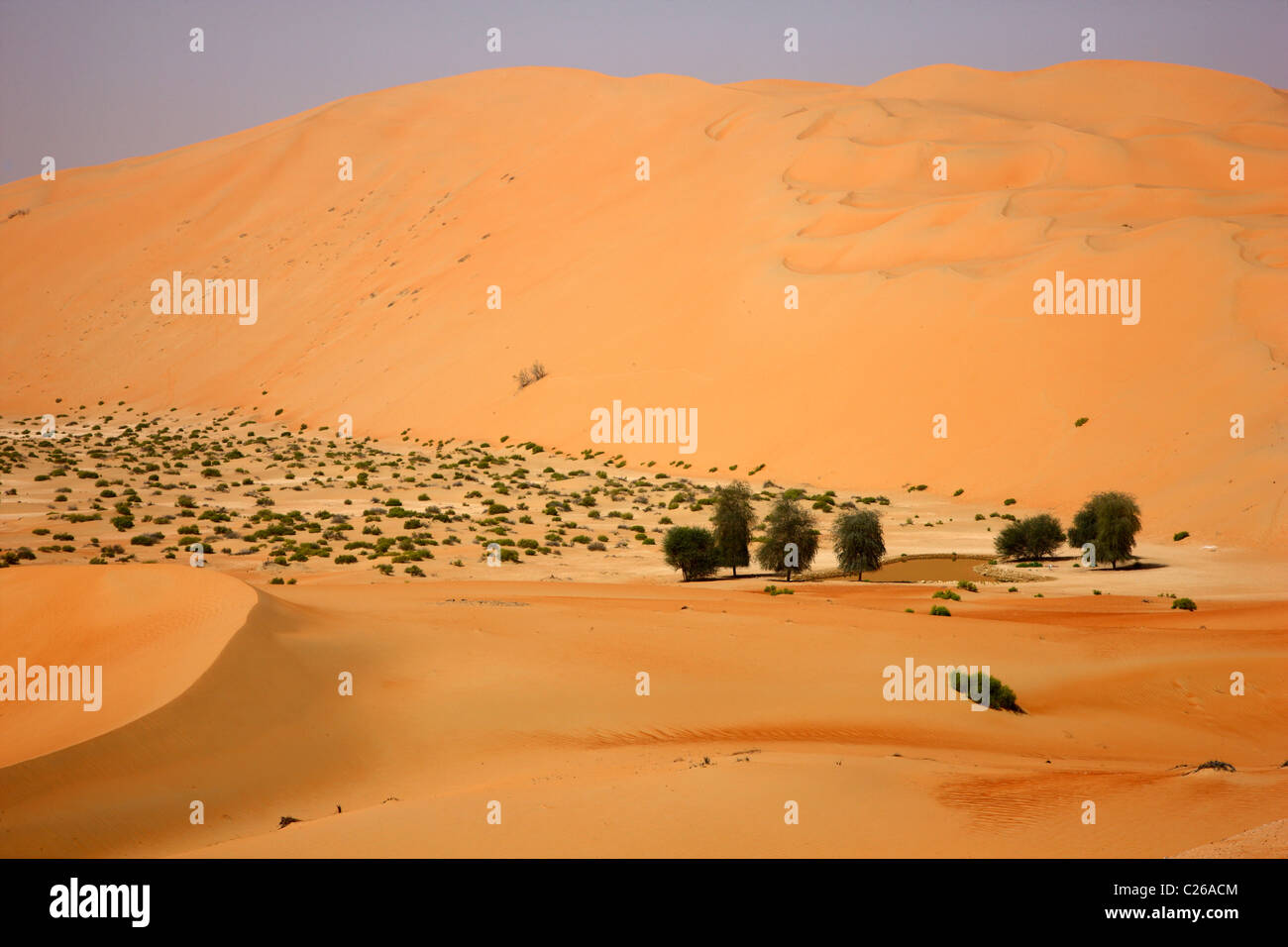 Rub'al-Khali desert, also called Empty Quarter, biggest sand desert ...