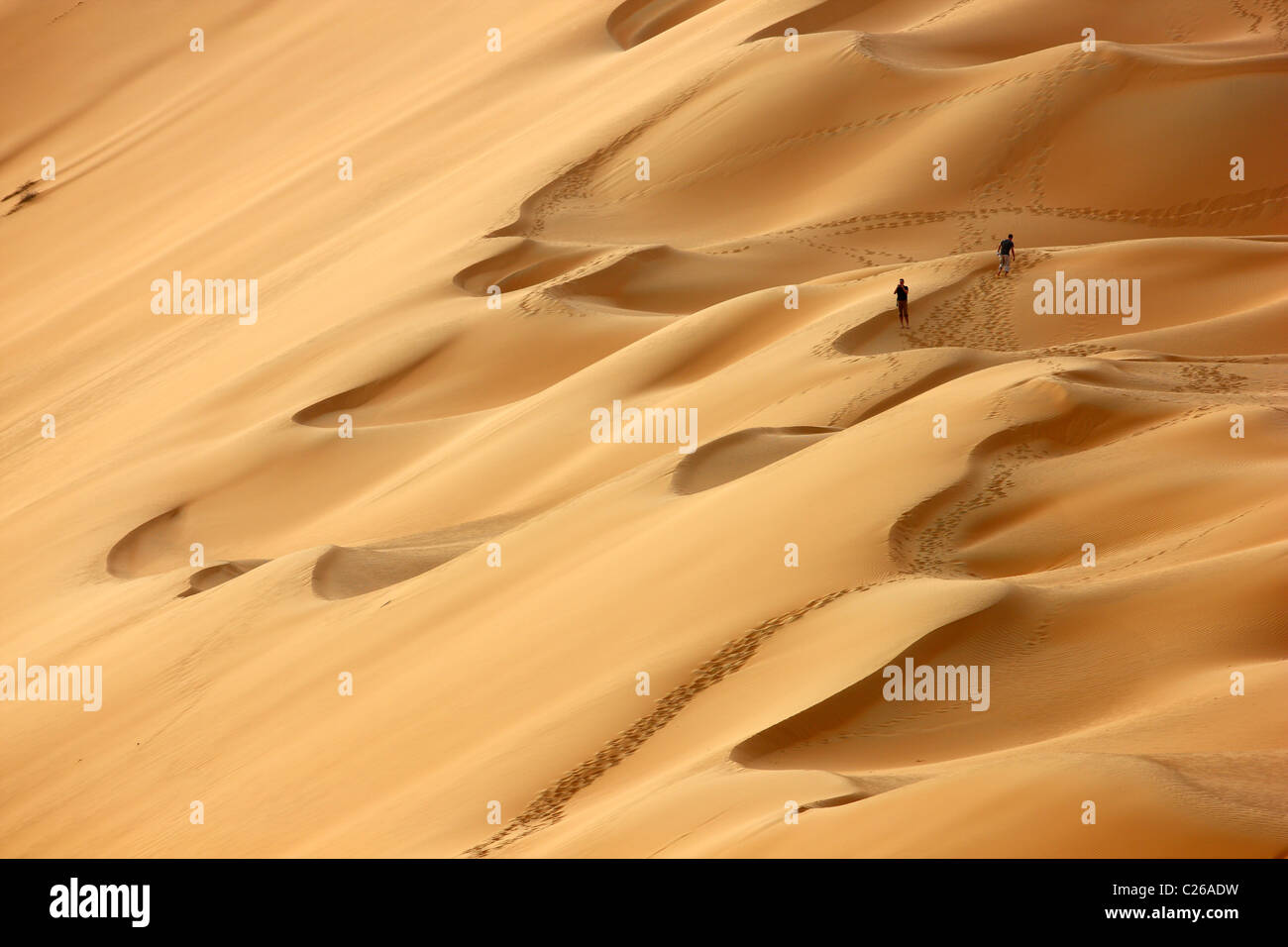 Rub'al-Khali desert, also called Empty Quarter, biggest sand desert ...