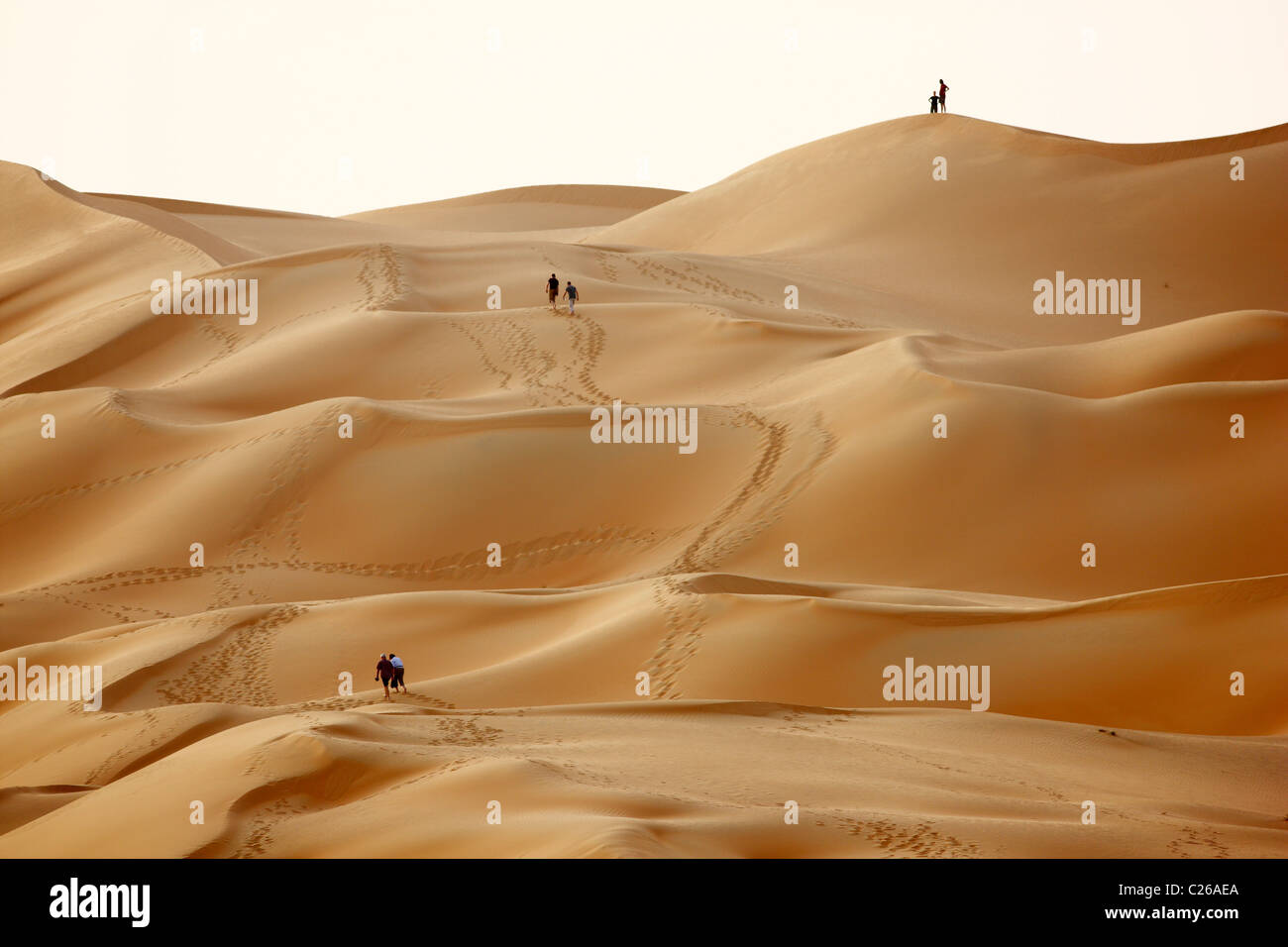 Rub'al-Khali desert, also called Empty Quarter, biggest sand desert ...