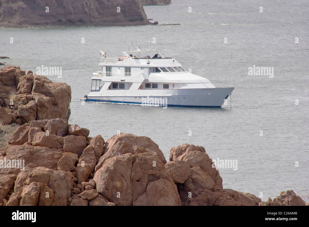 American Safari Cruises, luxury yacht, Safari Quest, Sea of Cortez ...