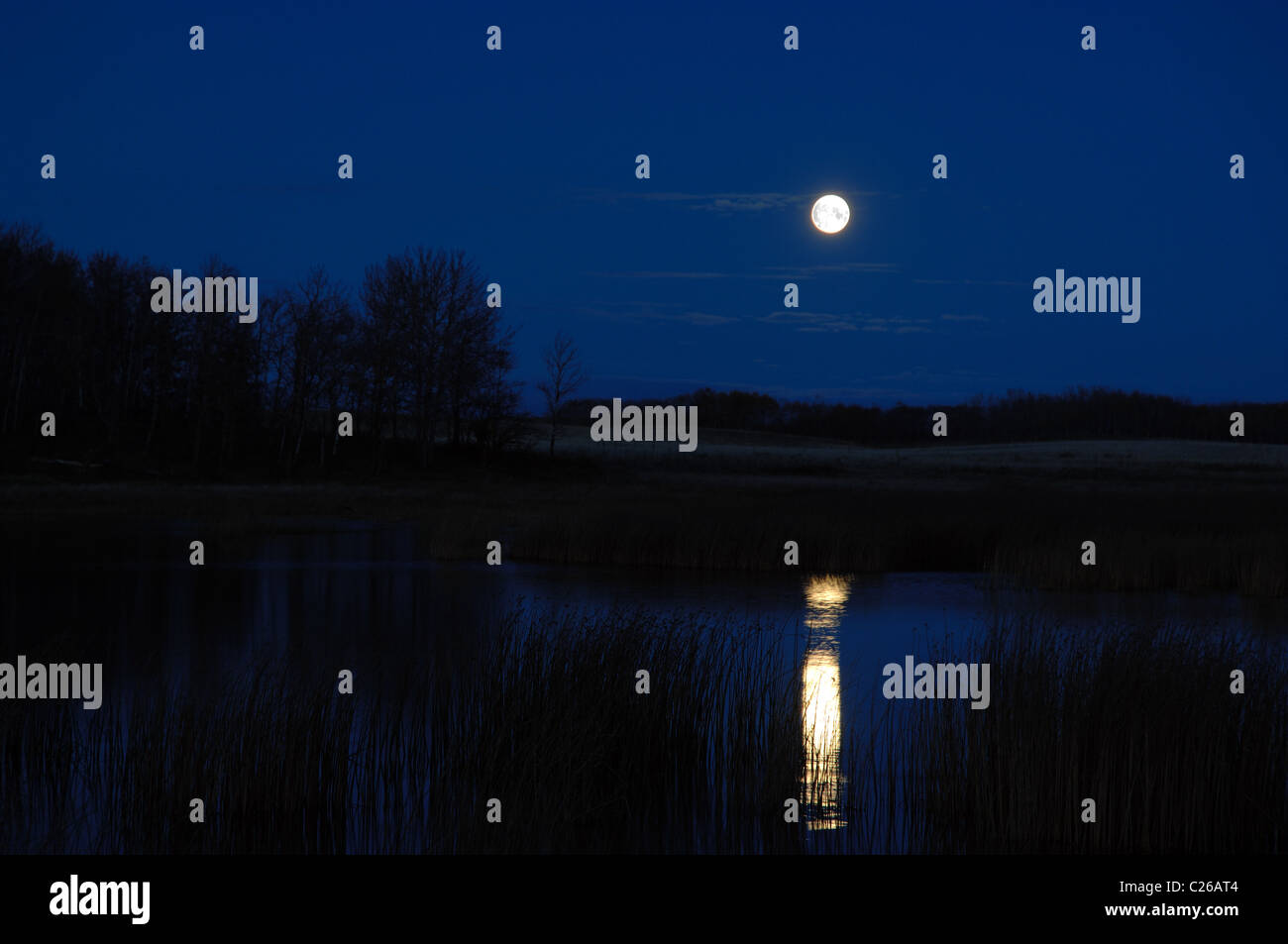 Slough grass hi-res stock photography and images - Alamy