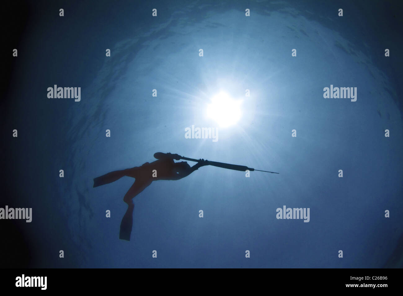 Spear fishing queensland reef hi-res stock photography and images - Alamy