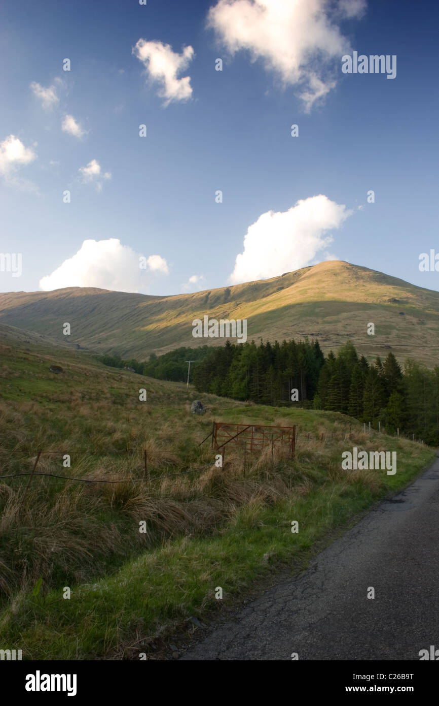 Barren Grass High Resolution Stock Photography and Images - Alamy