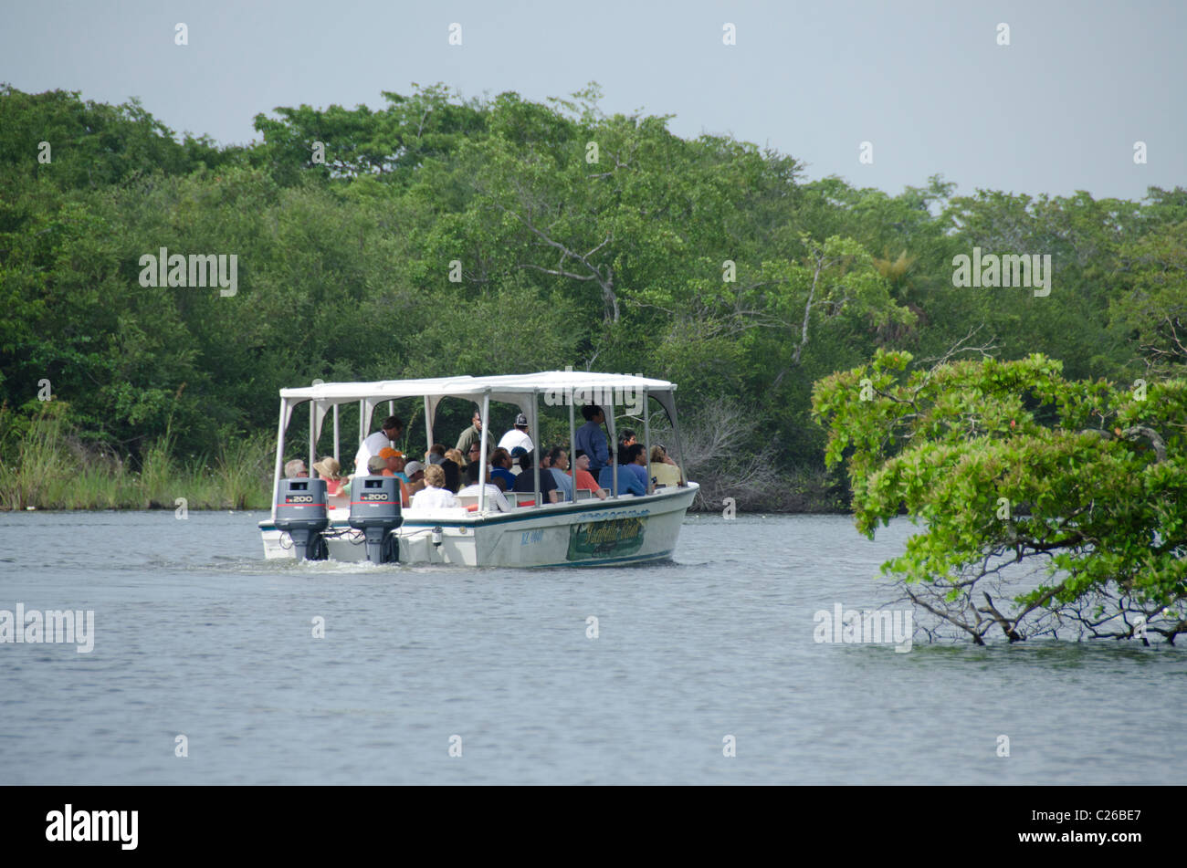 Central America, Belize. Tourist boat on New River near Belize City ...
