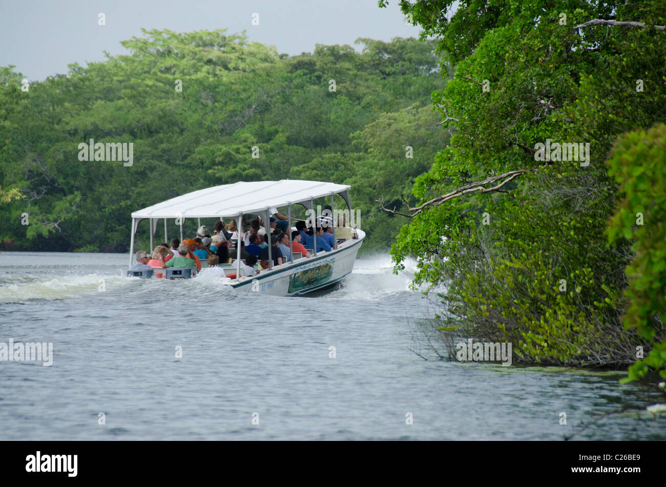 Central America, Belize. Tourist boat on New River near Belize City ...
