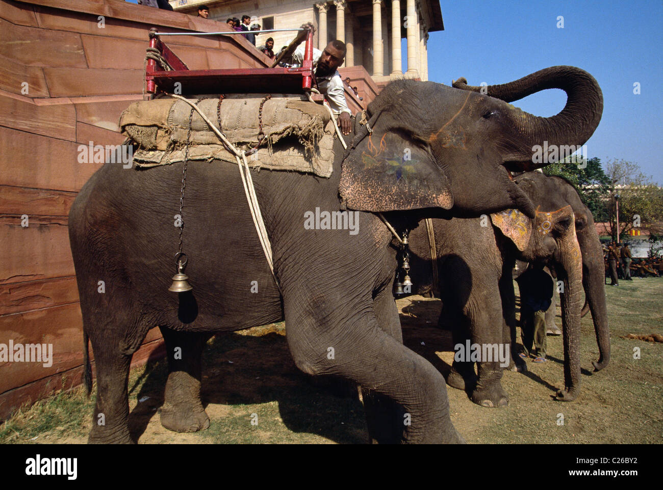 A trained elephant is prepared by its handler to join in the January 26 ...