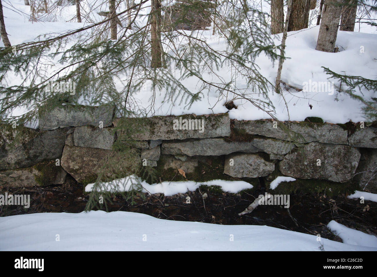 Remnants of an old stonewall in forest from 20th century logging era in ...