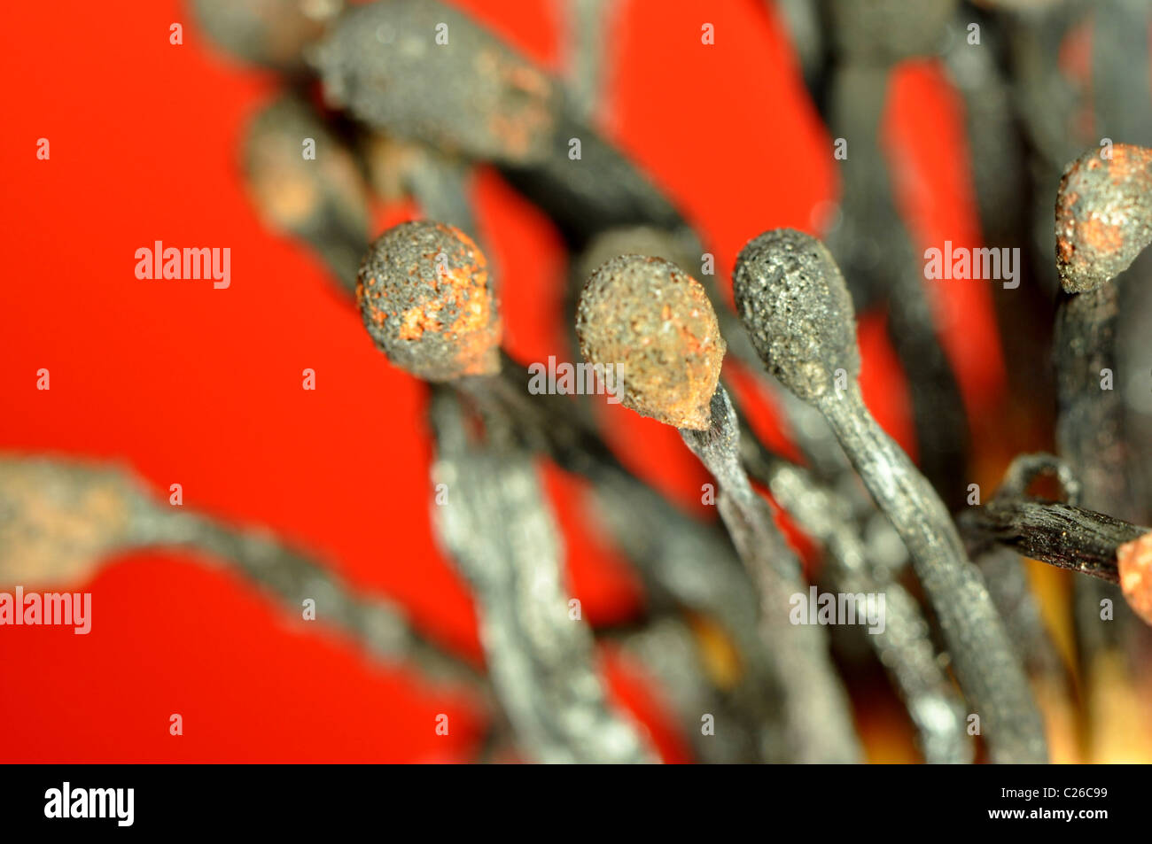 A collection of burnt match sticks on a red background Stock Photo - Alamy