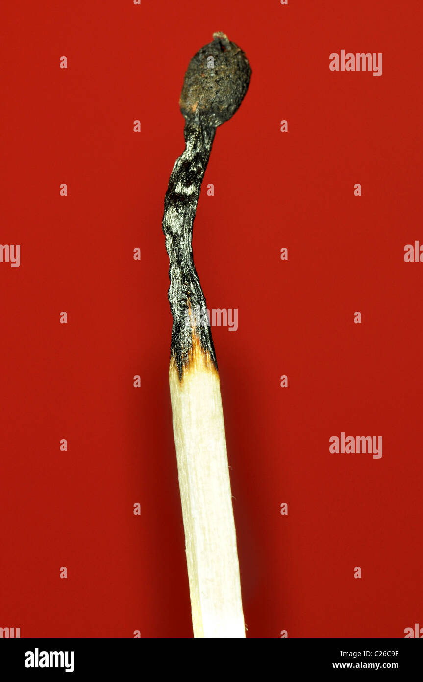 Match stick hi-res stock photography and images - Alamy