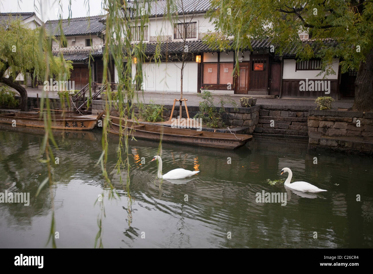 Tree-lined Bikan historical district with swans in canal, Kurashiki ...