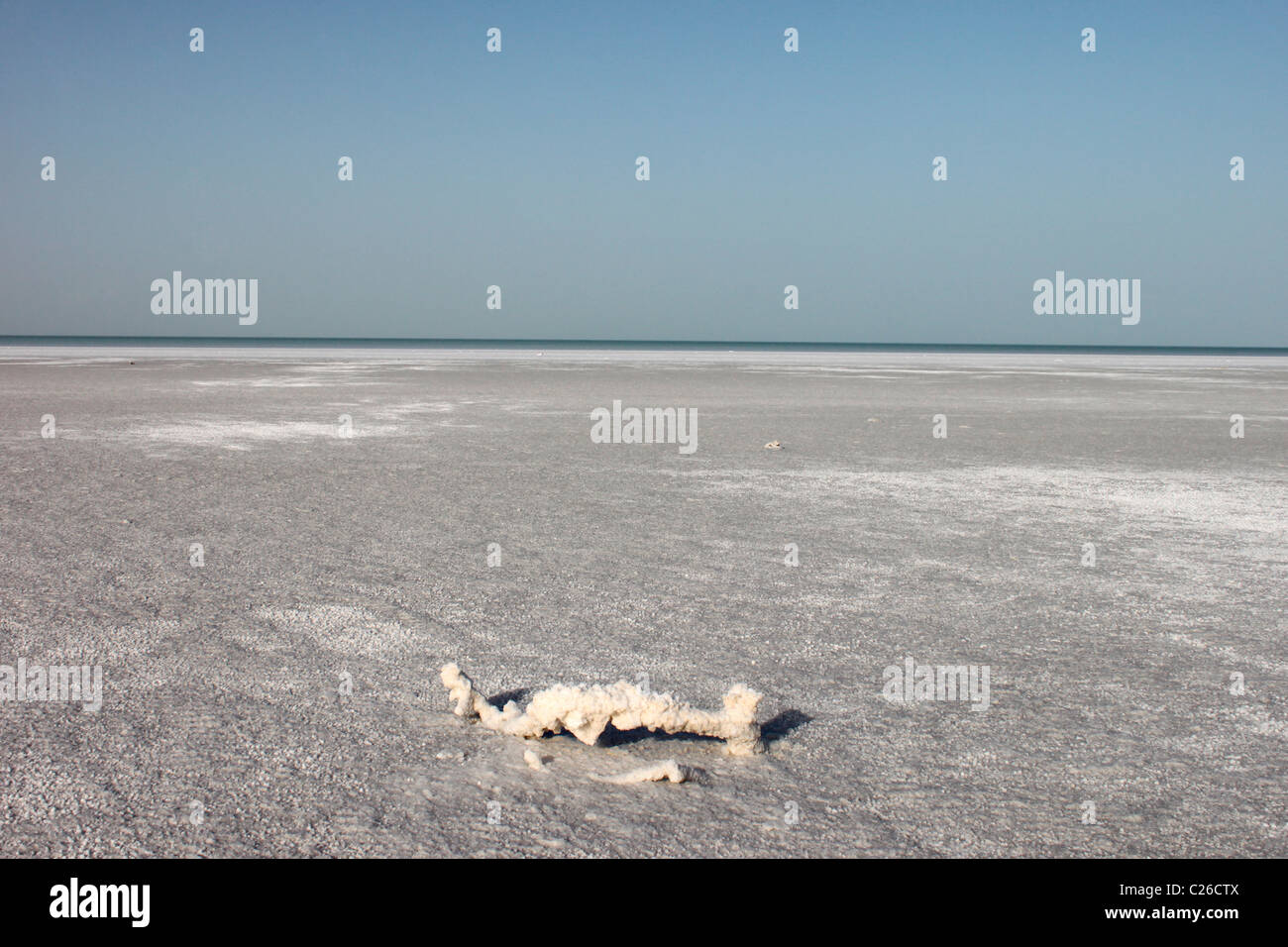 White desert of Rann of Kutch, Gujarat,India Stock Photo - Alamy