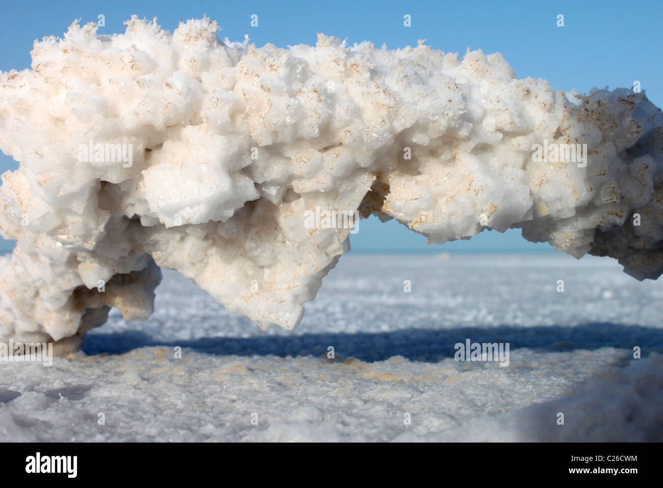 Salt marsh kutch hi-res stock photography and images - Alamy