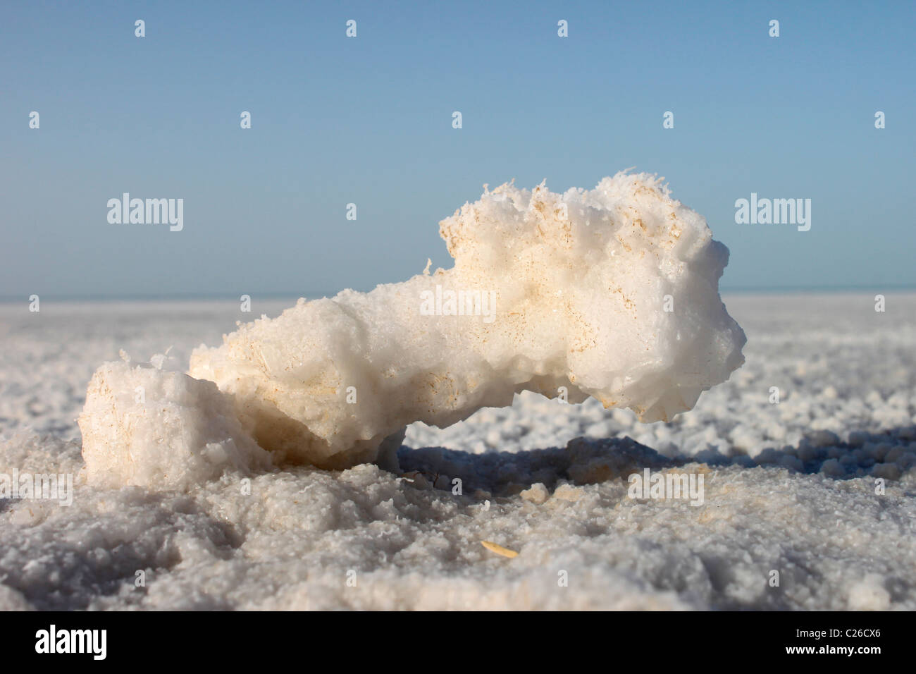 salt desert of rann of kutch, india Stock Photo - Alamy
