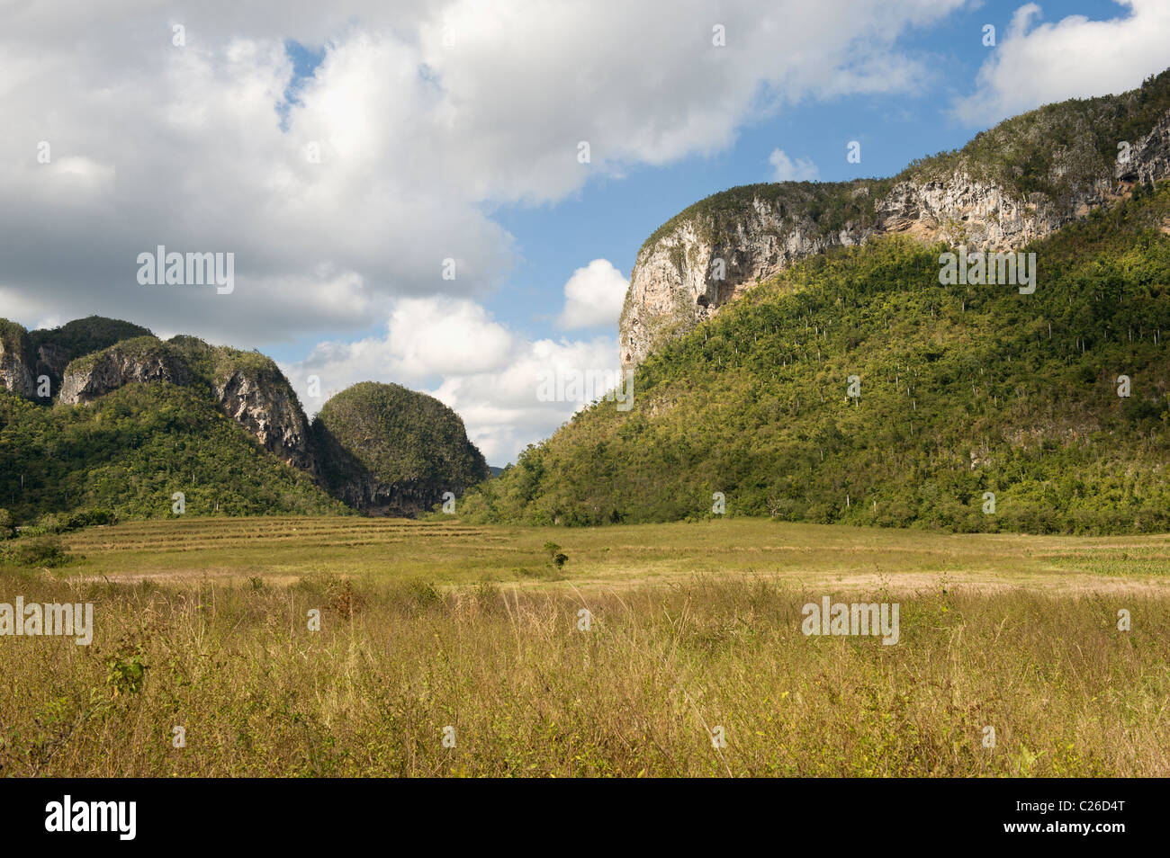 Vinales Valley, Mogotes, Vinales, Pinar del Rio Province, Cuba Stock ...