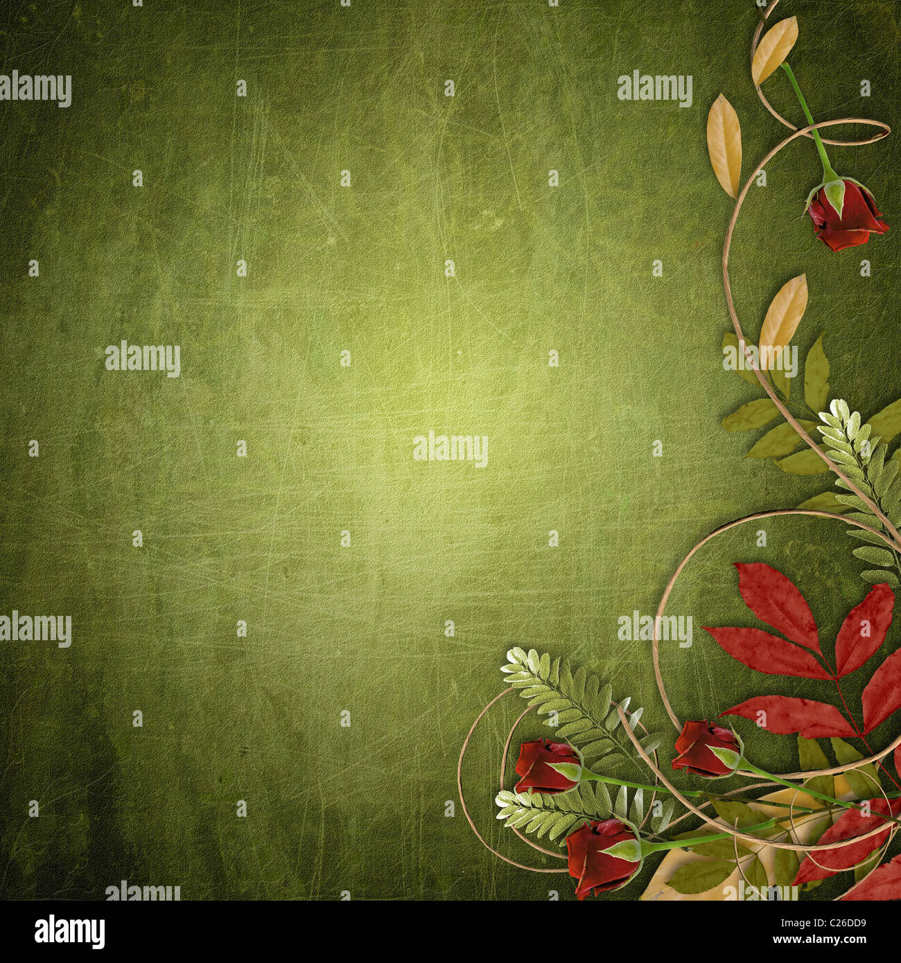 Green album sheet hi-res stock photography and images - Alamy