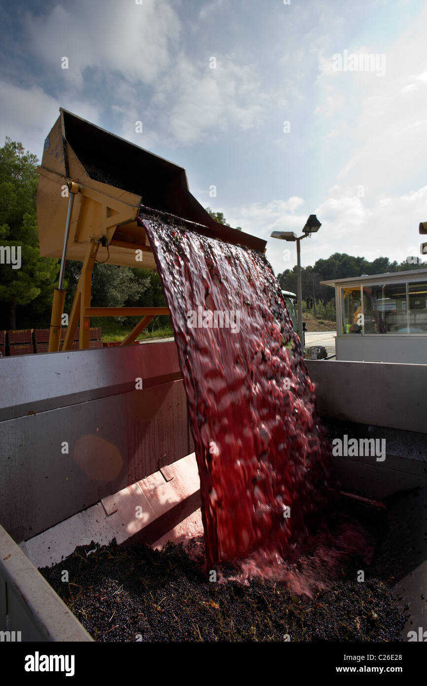 Empty vine press hi-res stock photography and images - Alamy