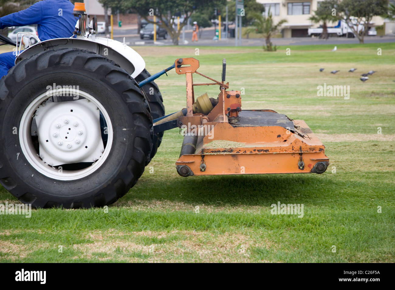 Cutting grass africa hi-res stock photography and images - Alamy