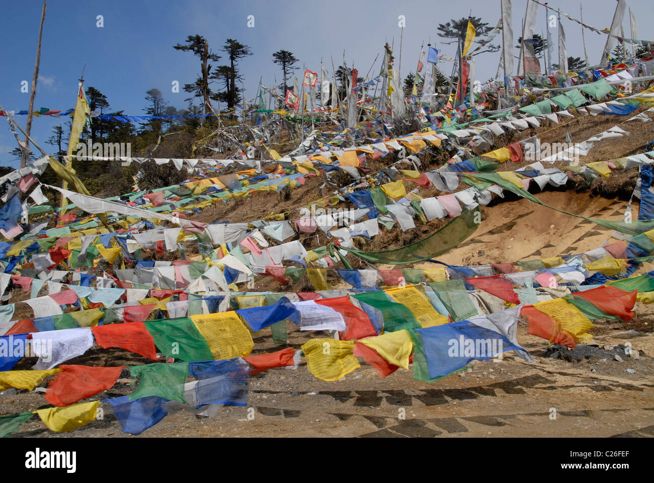 Prayer flags at Thrumshingla Pass, the border between central and ...