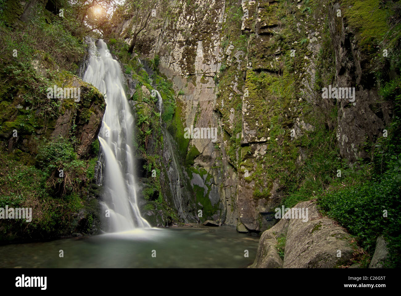 Beautiful waterfall surrounded by cliffs and shrubs in deep forest ...