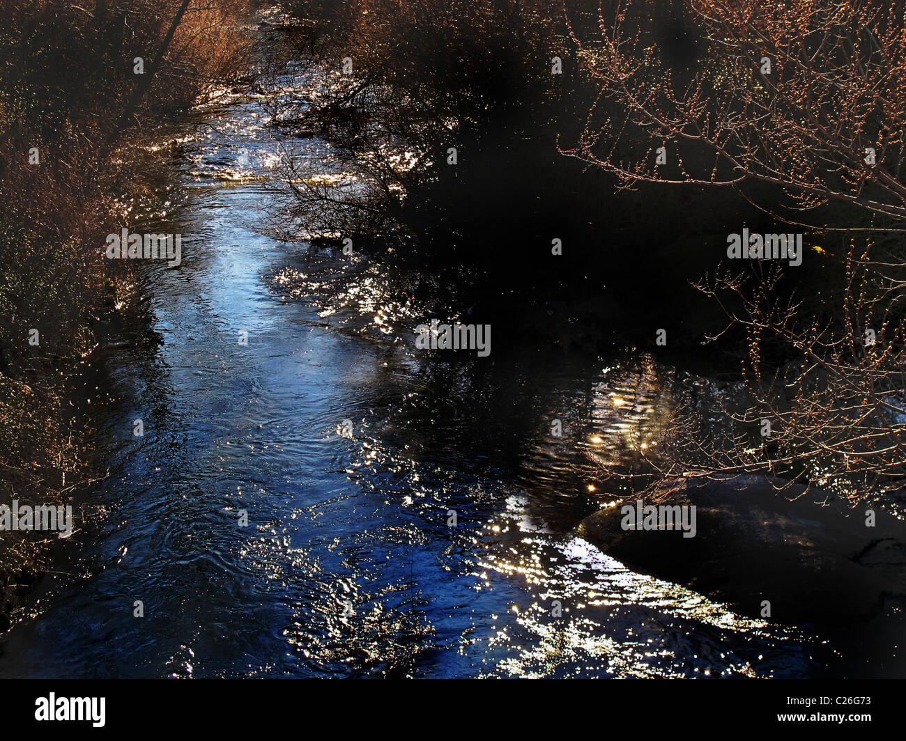 Flow of water from a hidden stream Stock Photo - Alamy