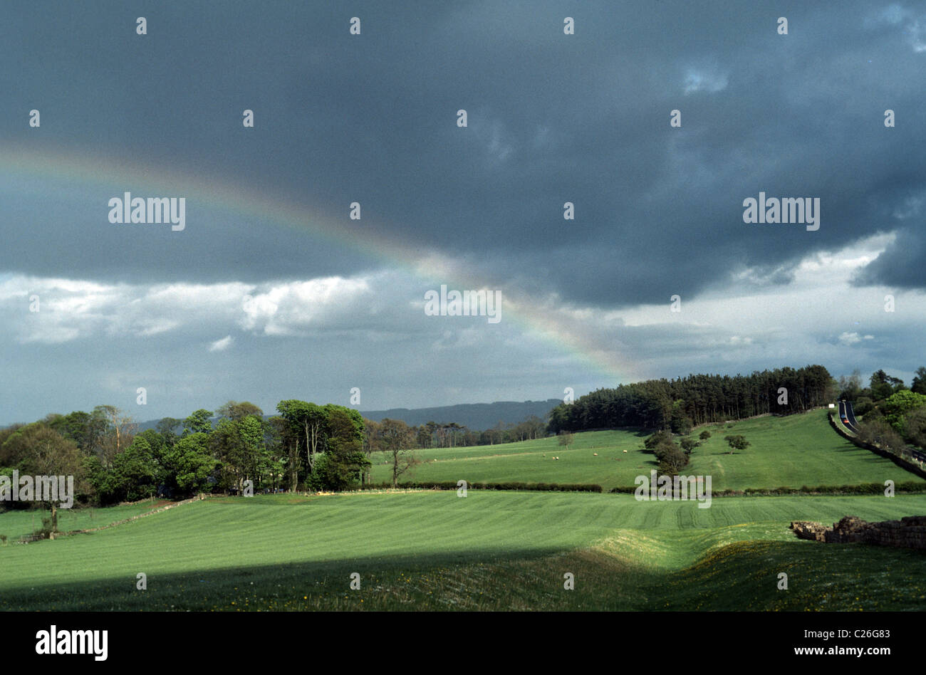 Gray fields hi-res stock photography and images - Alamy
