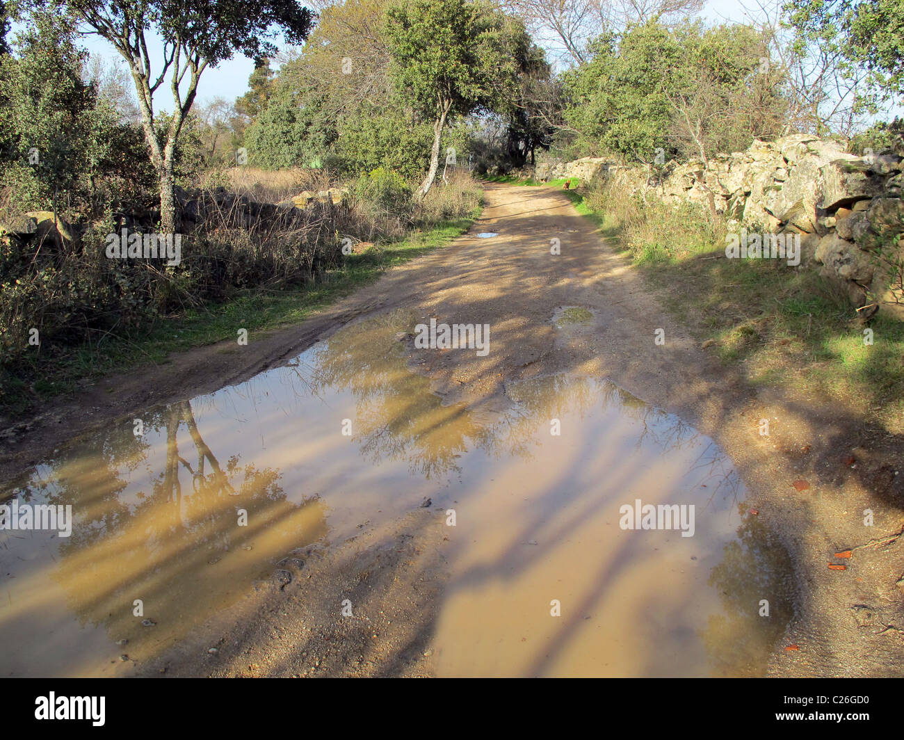 Road with puddle in a rural landscape Stock Photo - Alamy