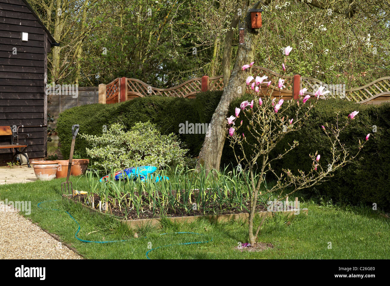 Vegetable plot hi-res stock photography and images - Alamy