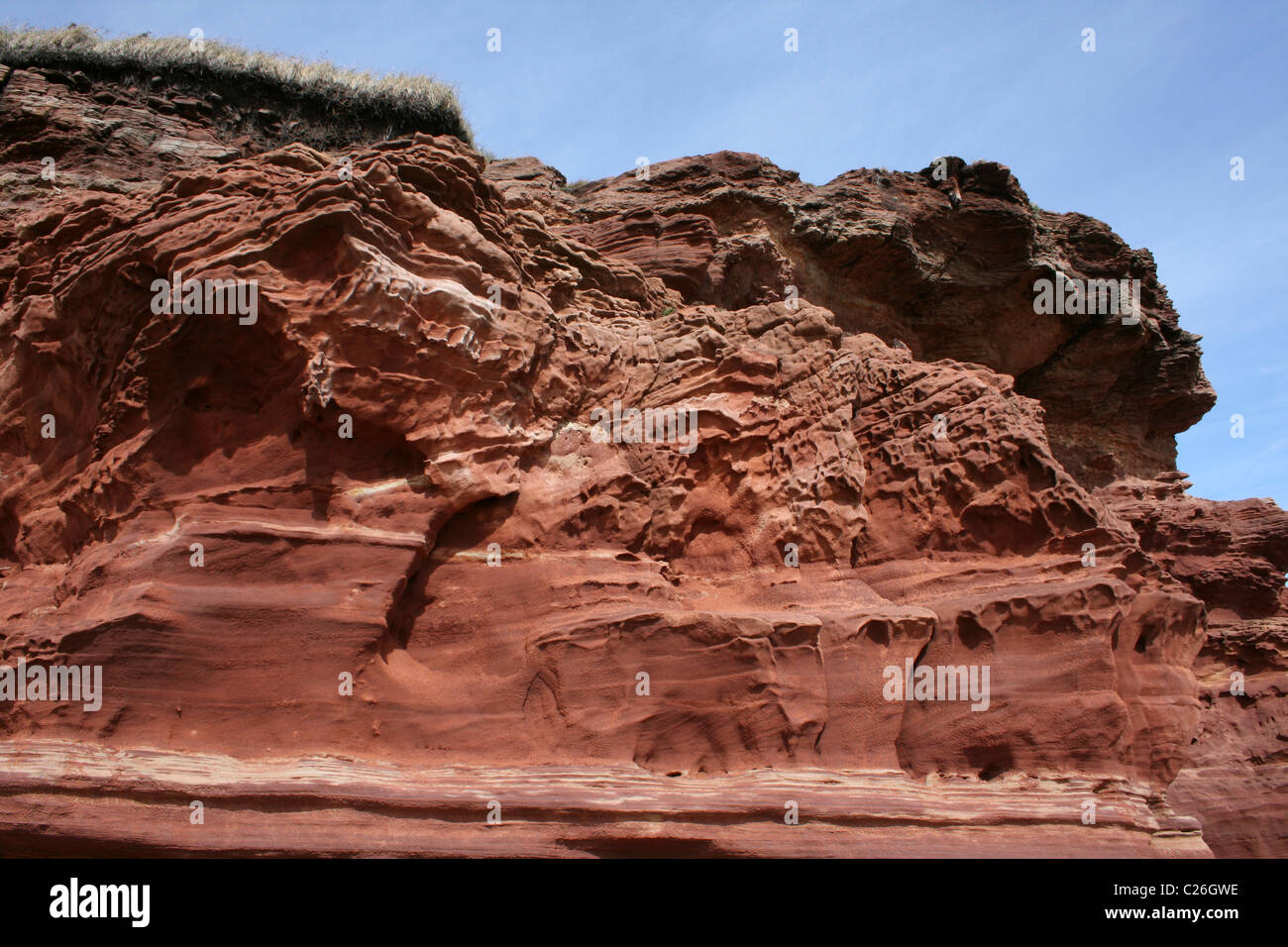 Wind Erosion On A Bunter Sandstone Cliff On Hilbre Island, The Wirral ...