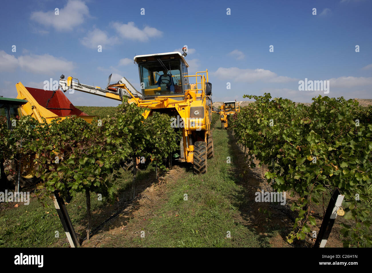 Harvest with a grape harvester hi-res stock photography and images - Alamy