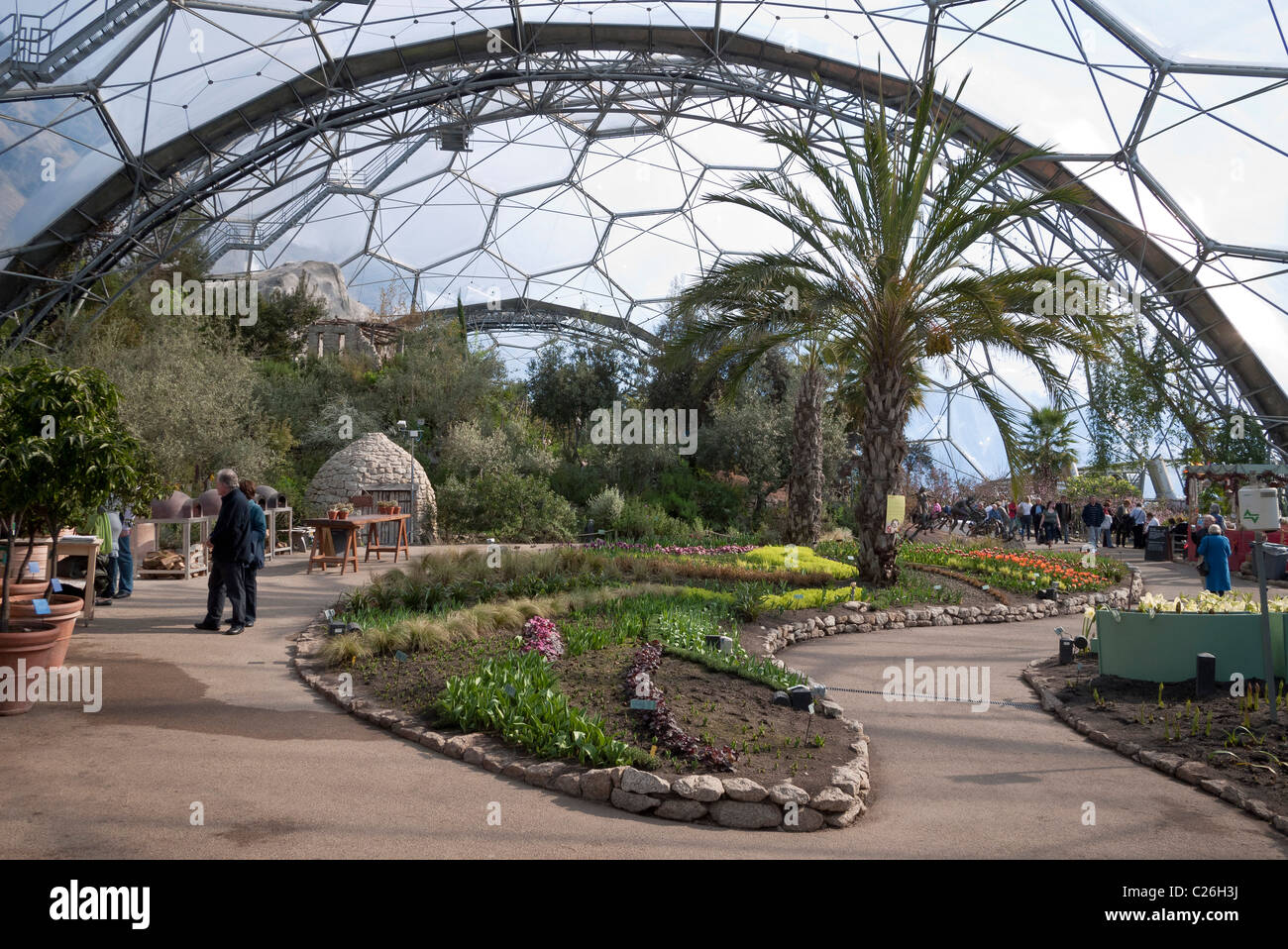 The Eden Project, inside view, Cornwall, England, UK Stock Photo - Alamy The Eden Project, inside view, Cornwall, England, UK Stock Photo - Alamy