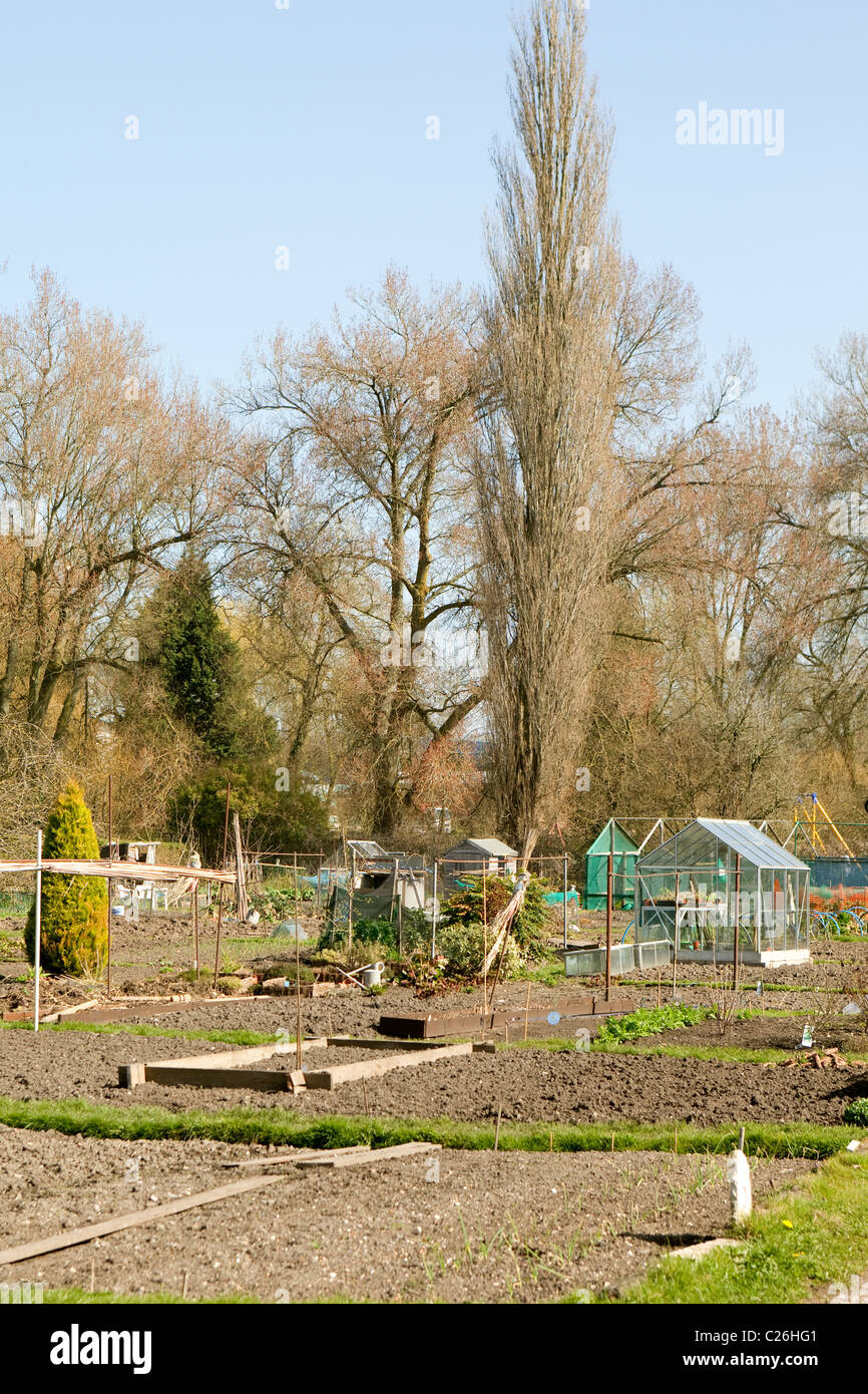 Soil british uk english allotments hi-res stock photography and images ...