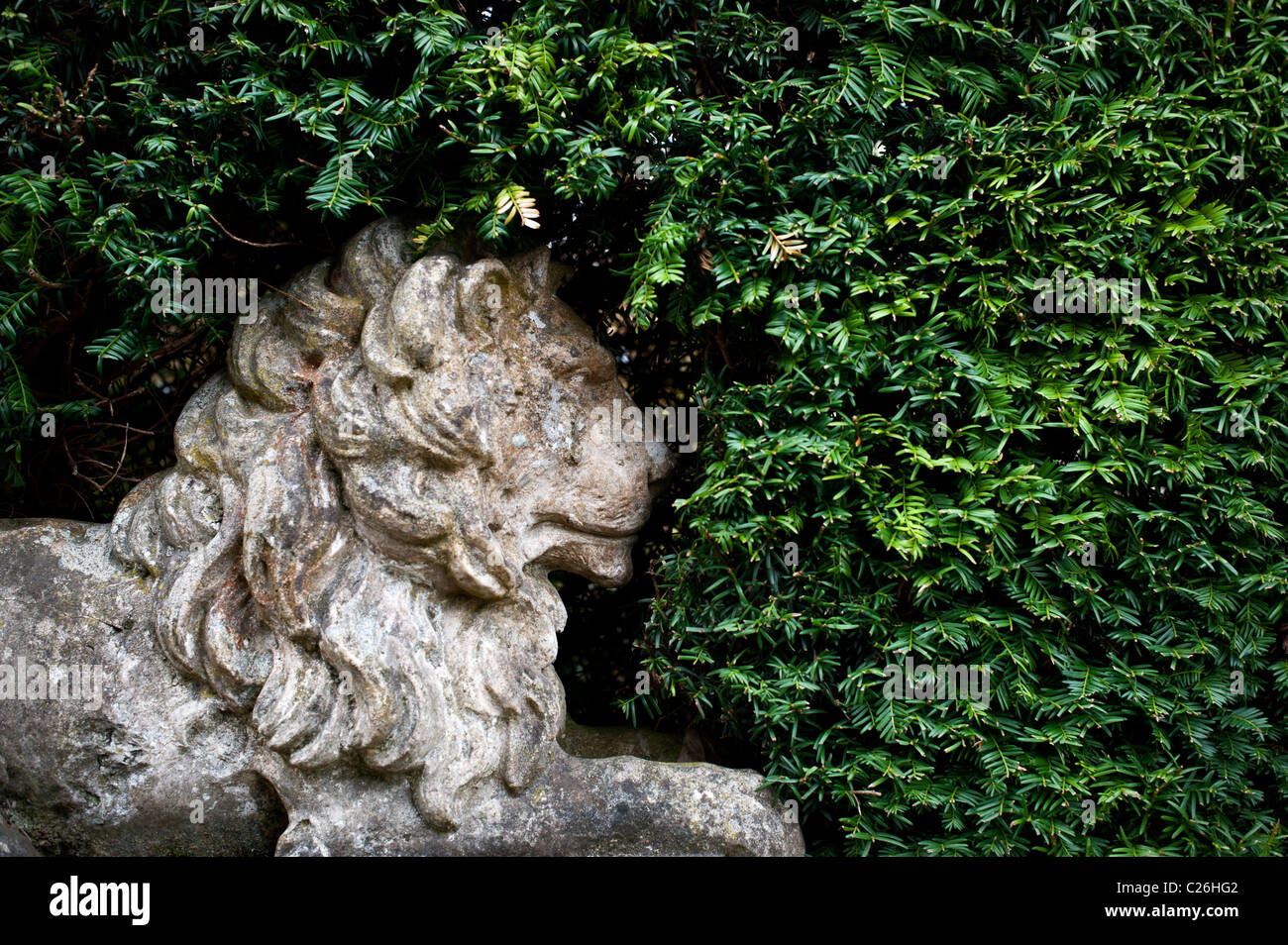 Stone Lion statue in a hedge. RHS Wisley Gardens, Surrey, England Stock ...