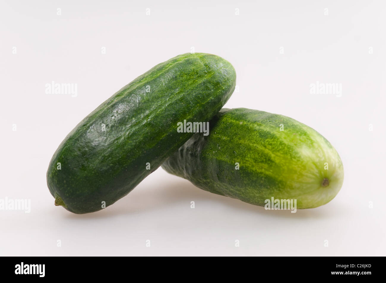 large cucumber photographed closeup on a white background Stock Photo ...