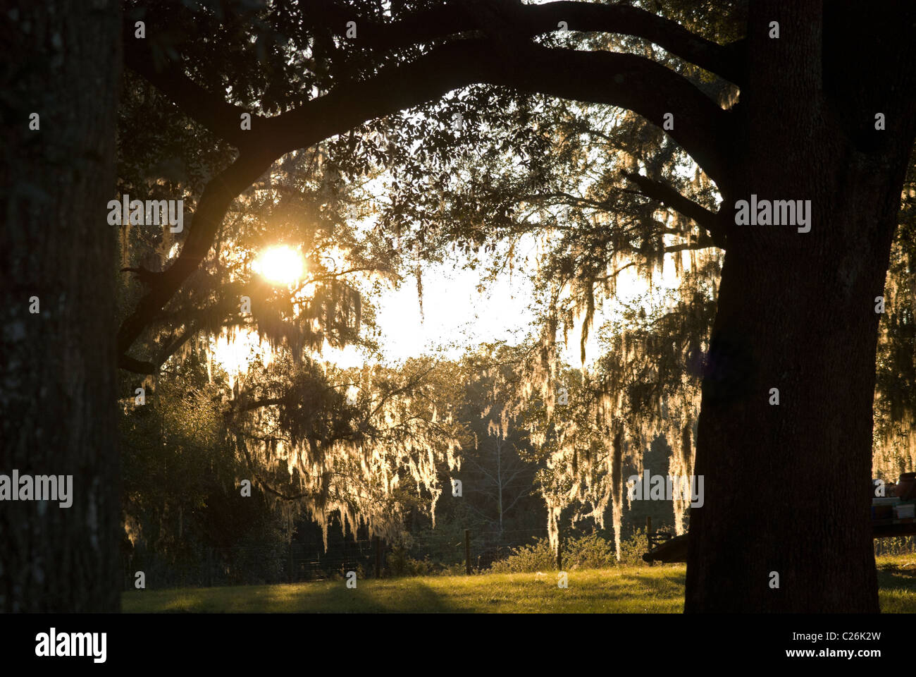 rural country sunset in North Florida Stock Photo - Alamy