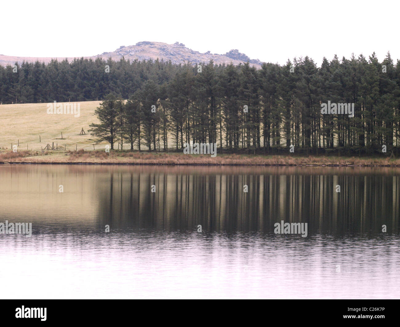 Crowdy Reservoir, Bodmin Moor, Cornwall, UK Stock Photo - Alamy
