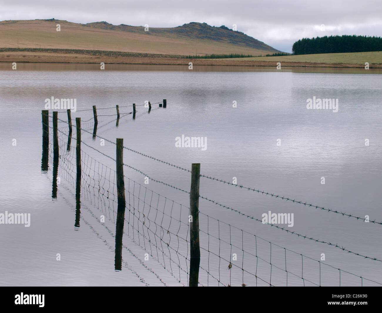 Fence out into Crowdy reservoir, Bodmin Moor, Cornwall, UK Stock Photo ...